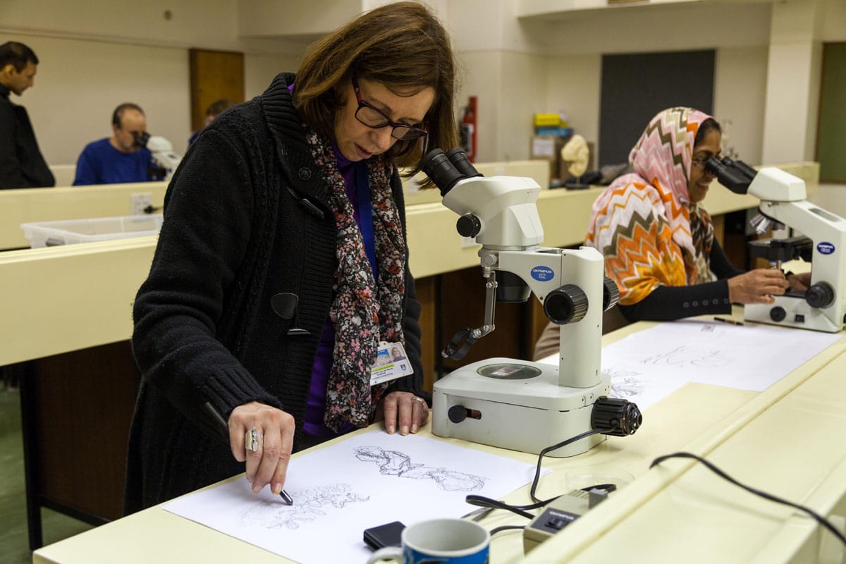 Senior lecturers drawing workshop - Lateral Leap