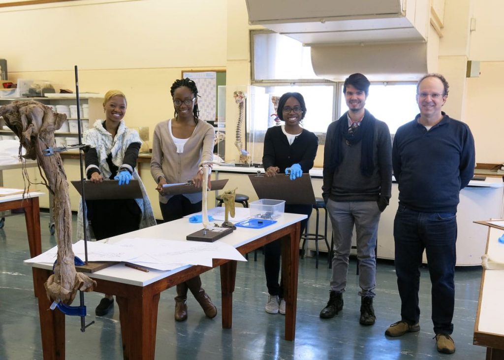 UCT MBChB students learning deep observation method, HVO&D, 2015 ...